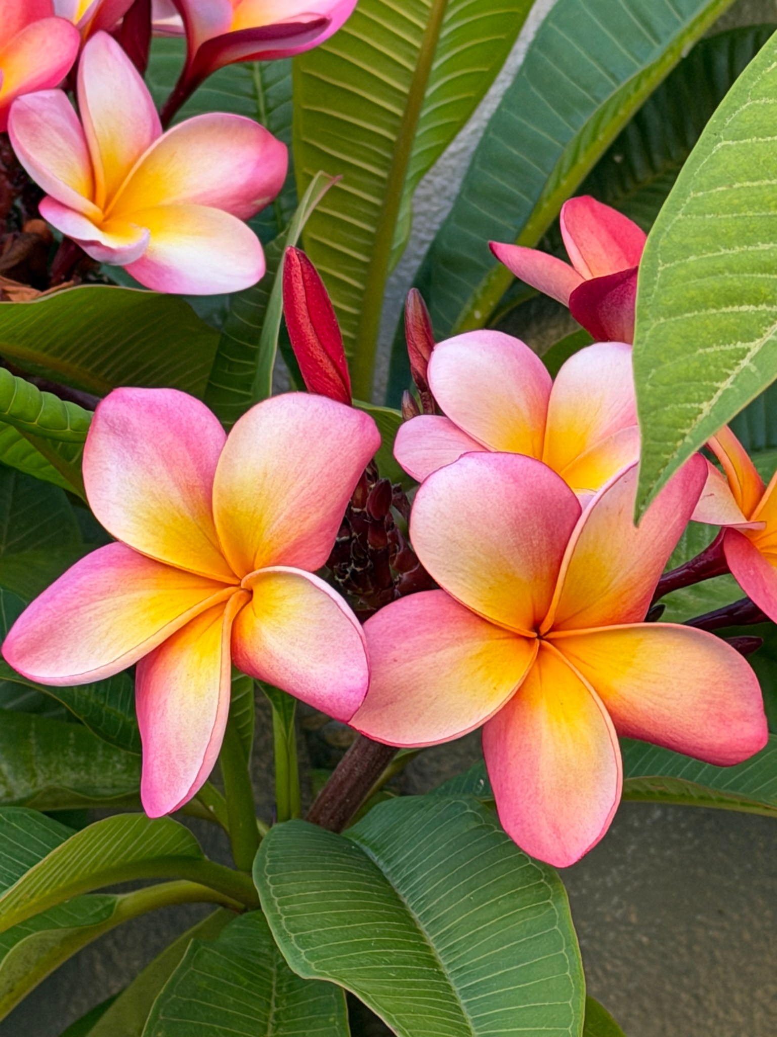 Tides, Trees and Time – From Quill to Quote